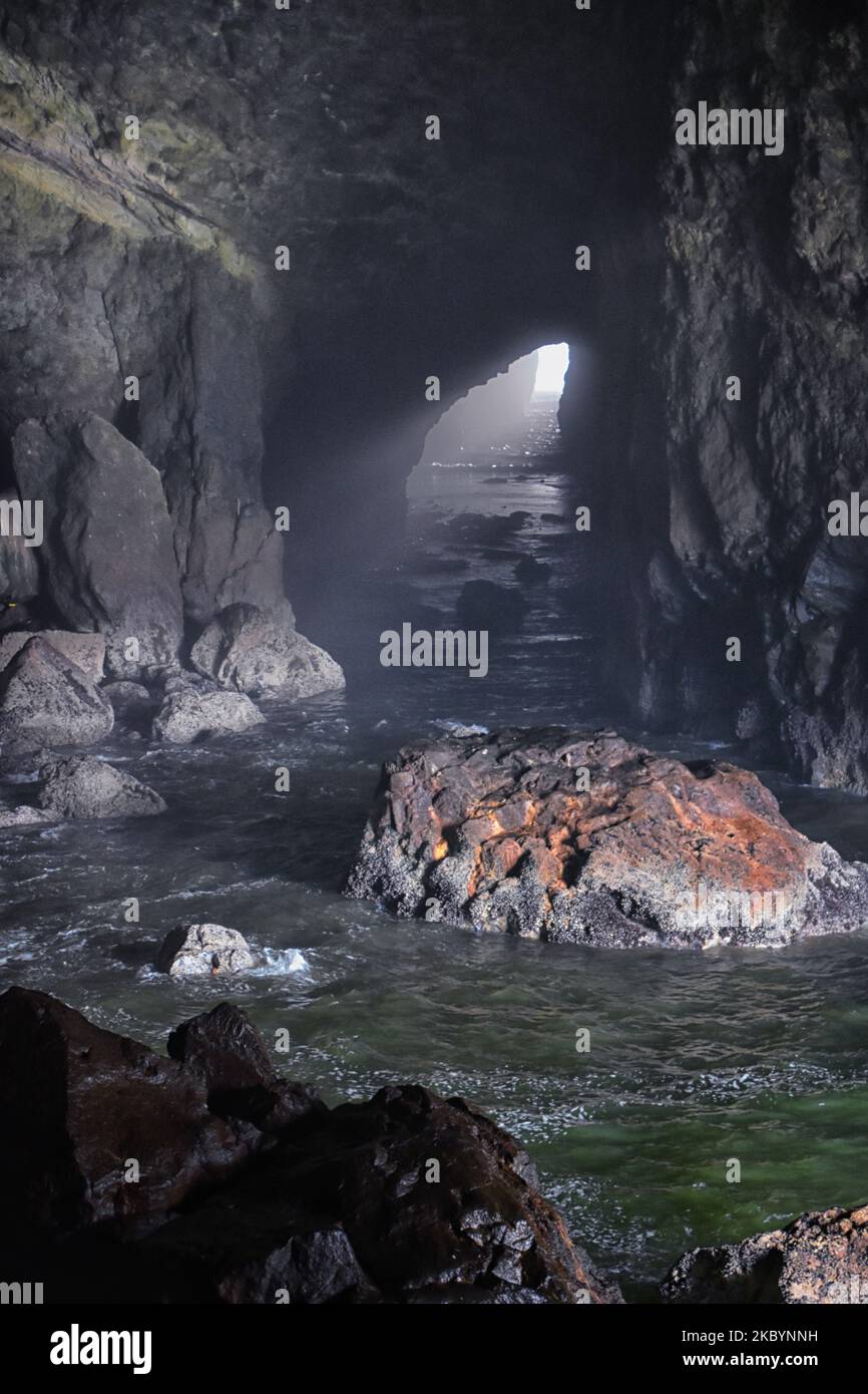 Oregon coast sea lion caves hi-res stock photography and images - Alamy