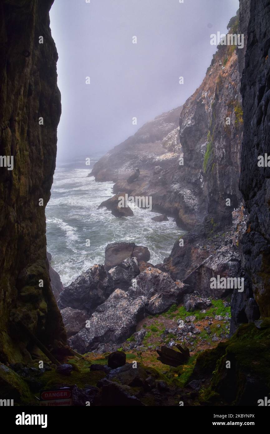 Oregon coast sea lion caves hi-res stock photography and images - Alamy