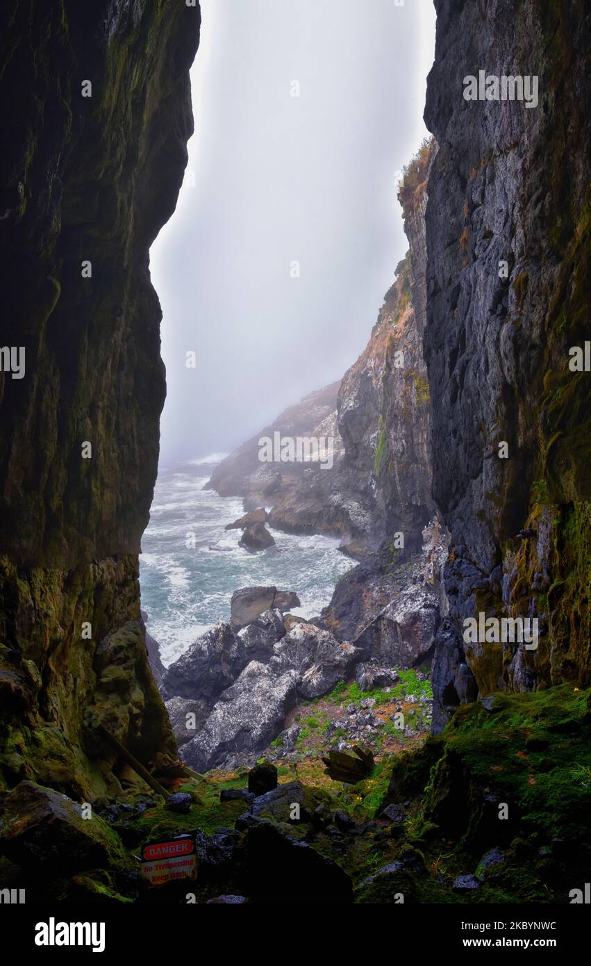 Oregon coast sea lion caves hi-res stock photography and images - Alamy