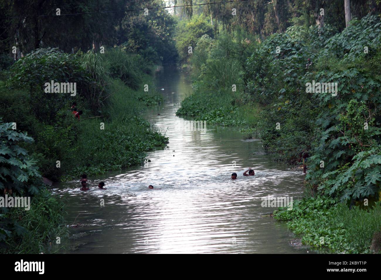 Young boys bath in a canal on a hot sunny day near Wazirpur Industrial ...