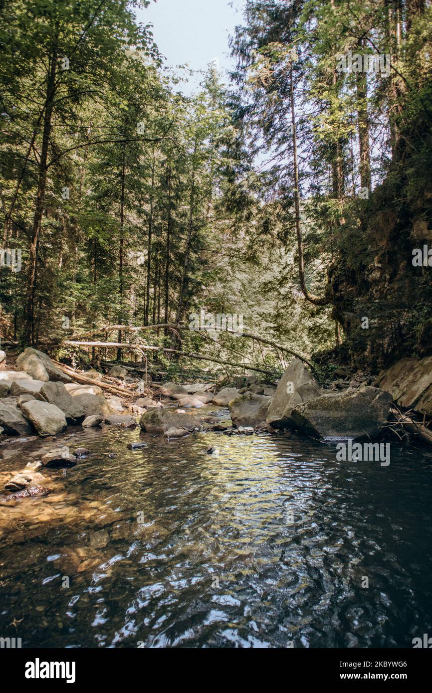 A vertical view of the Girl's Tears waterfall in the Ivano-Frankivsk ...