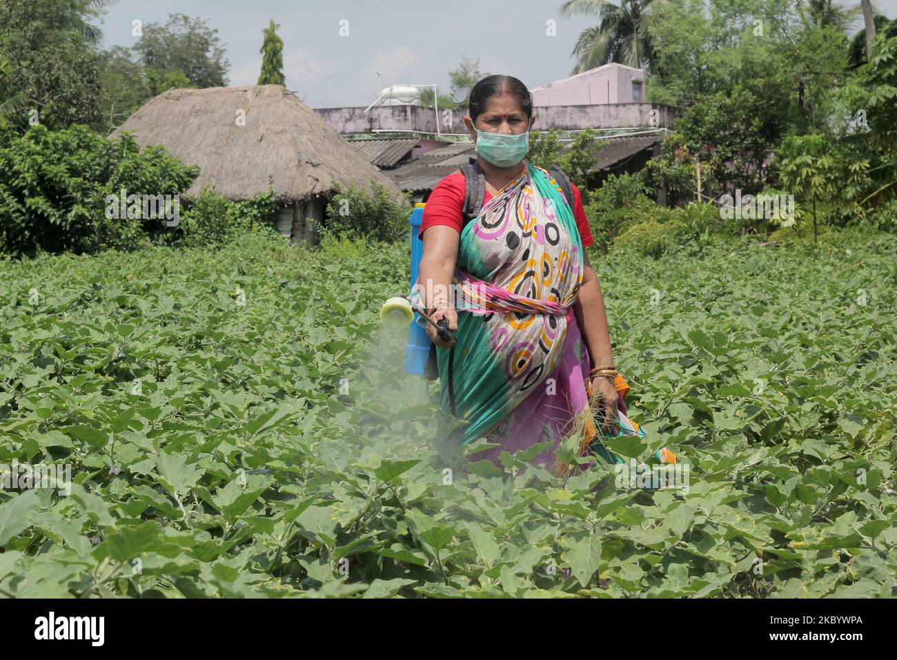 Chhayarani Sahu An Indian Village Living Woman Farmer Is Seen At His Vegetable Agricultural