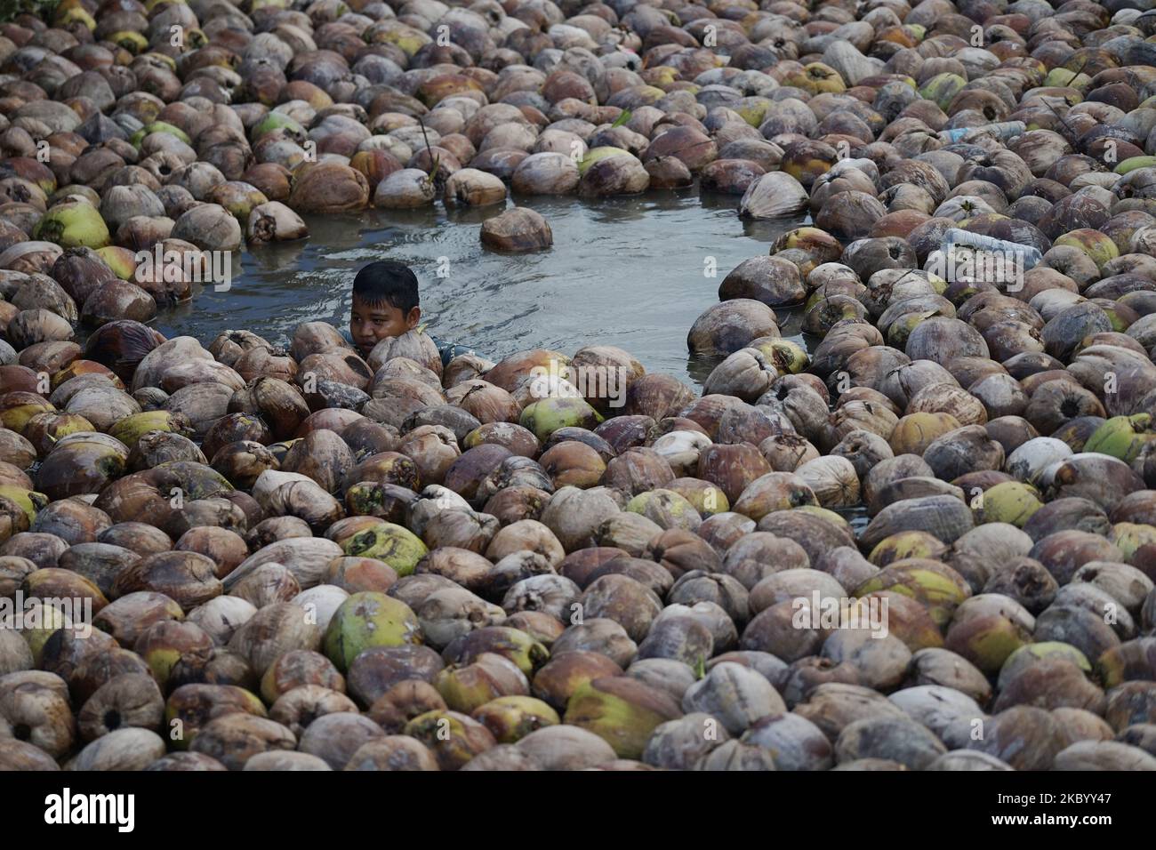 Loading and unloading activities on small boats, herding coconuts in ...