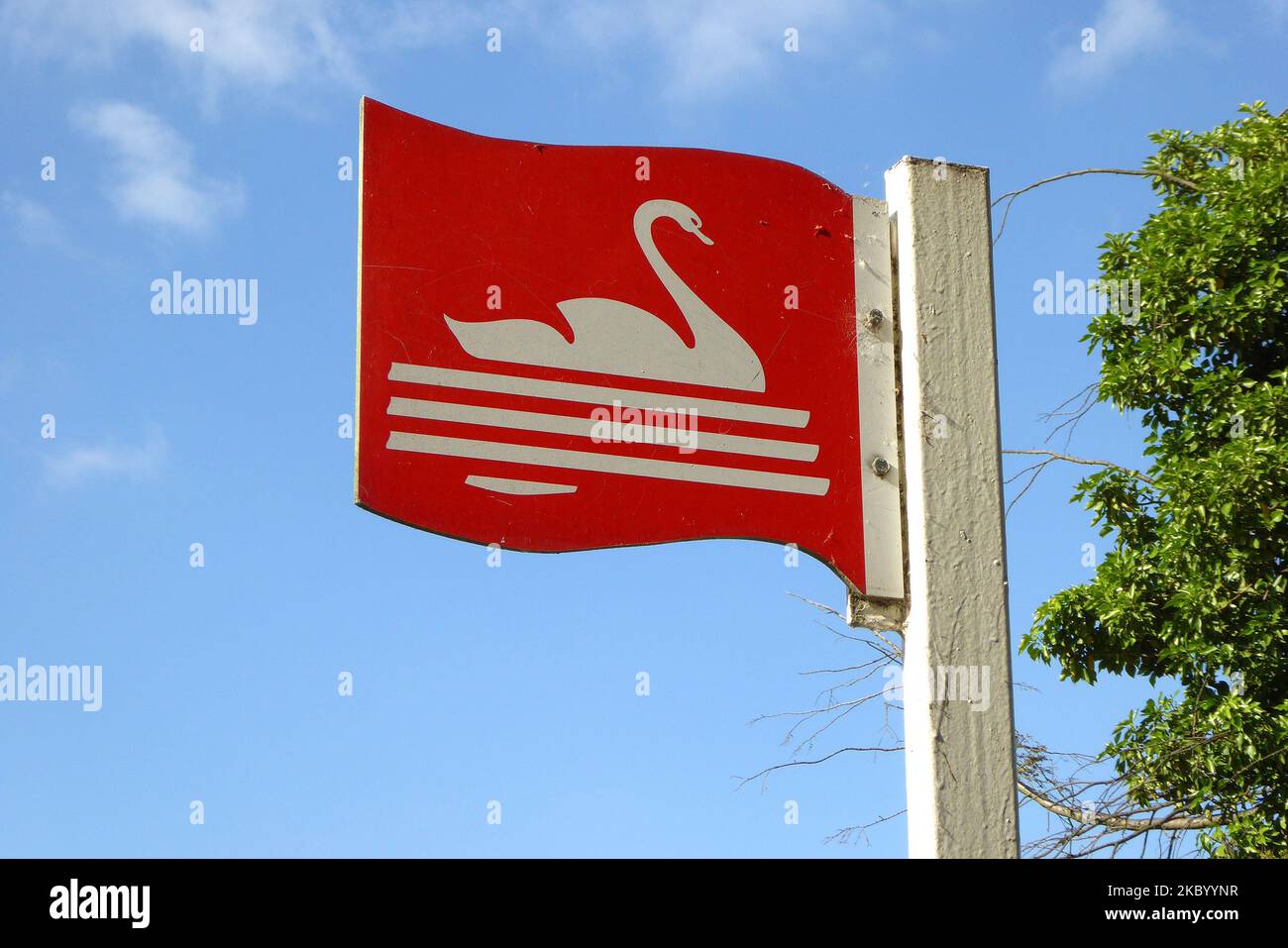 A red flag with a swan symbol in Hamburg Stock Photo - Alamy
