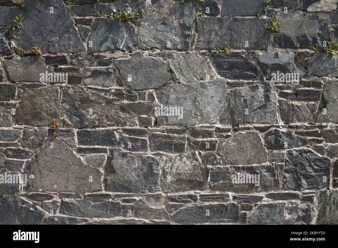 Stone Wall Texture, Seamless Texture Stone Wall. High Resolution Stock ...