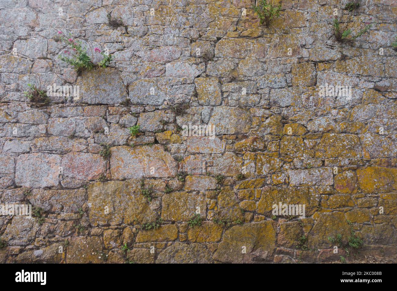 Stone Wall Texture, Seamless Texture Stone Wall. High Resolution Stock ...