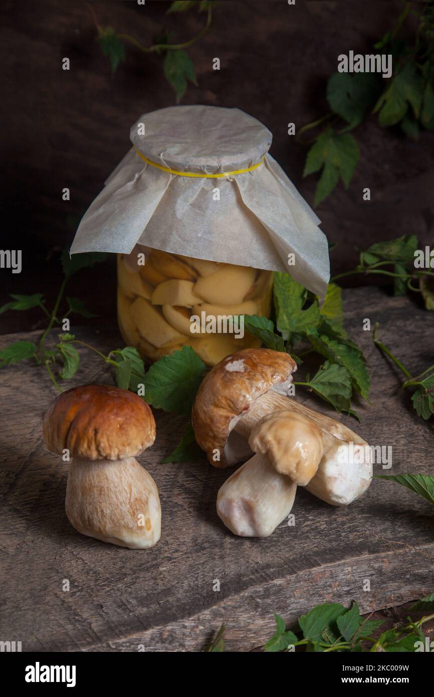 Crop of forest edible mushrooms. Composition of porcini mushrooms (cep ...