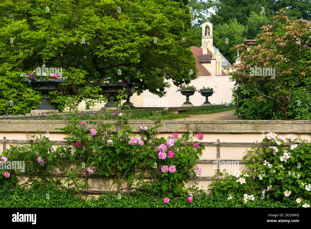 castle and park branitz, cottbus, germany Stock Photo - Alamy