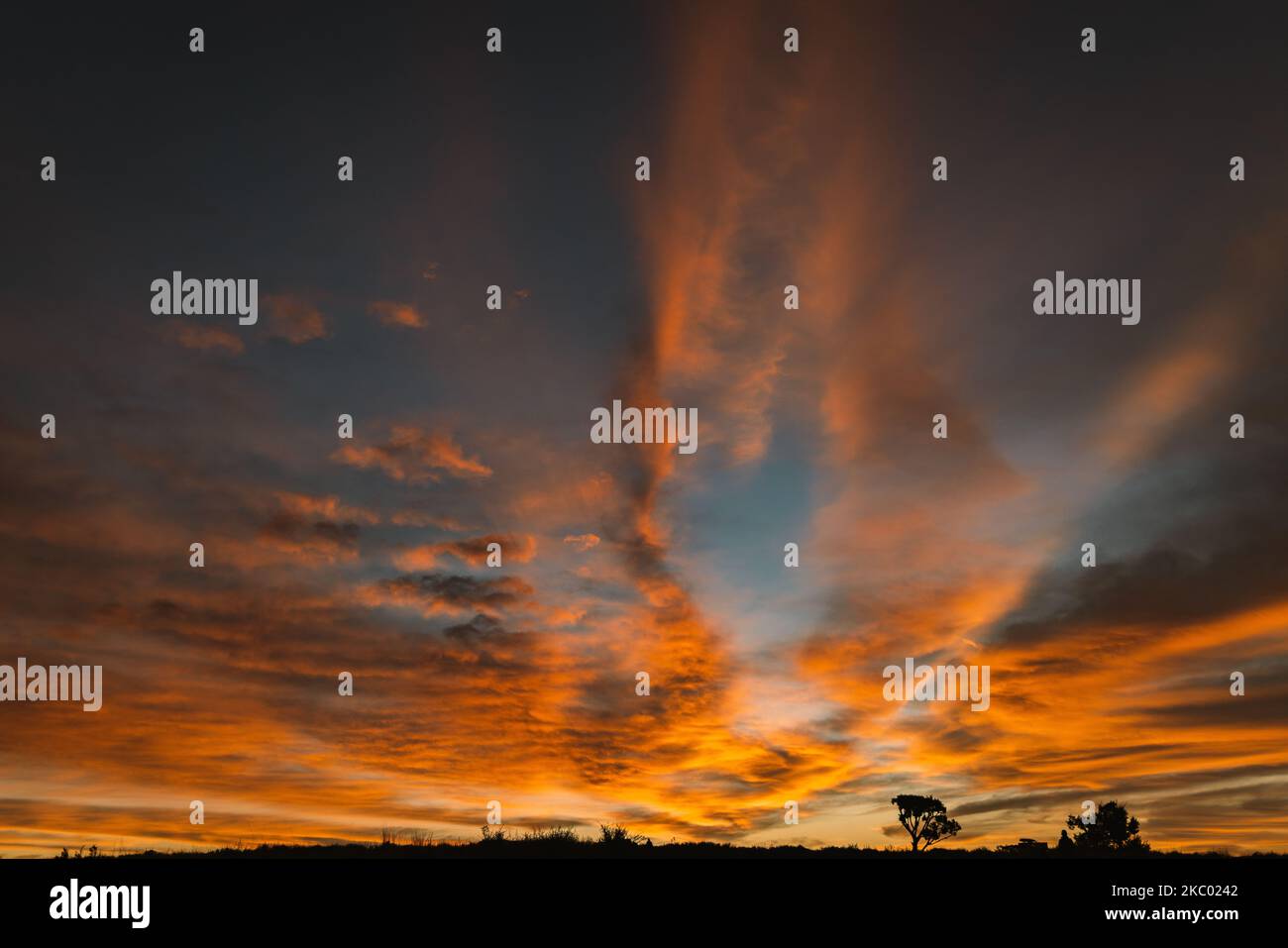 An incredible fall sunset with a wide-angle lens showing silhouettes of ...