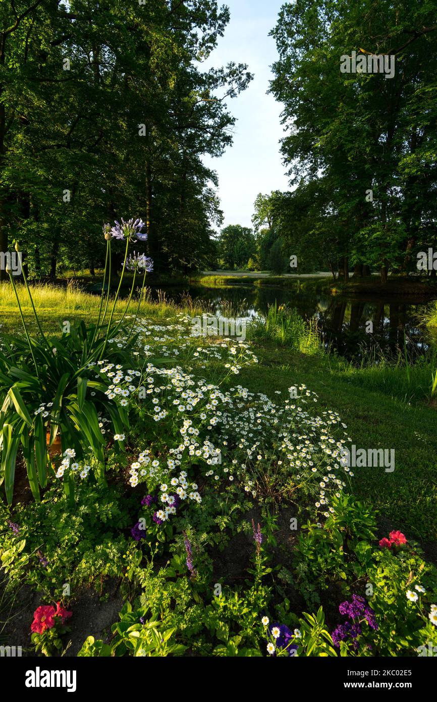 Furst puckler branitz parc hi-res stock photography and images - Alamy