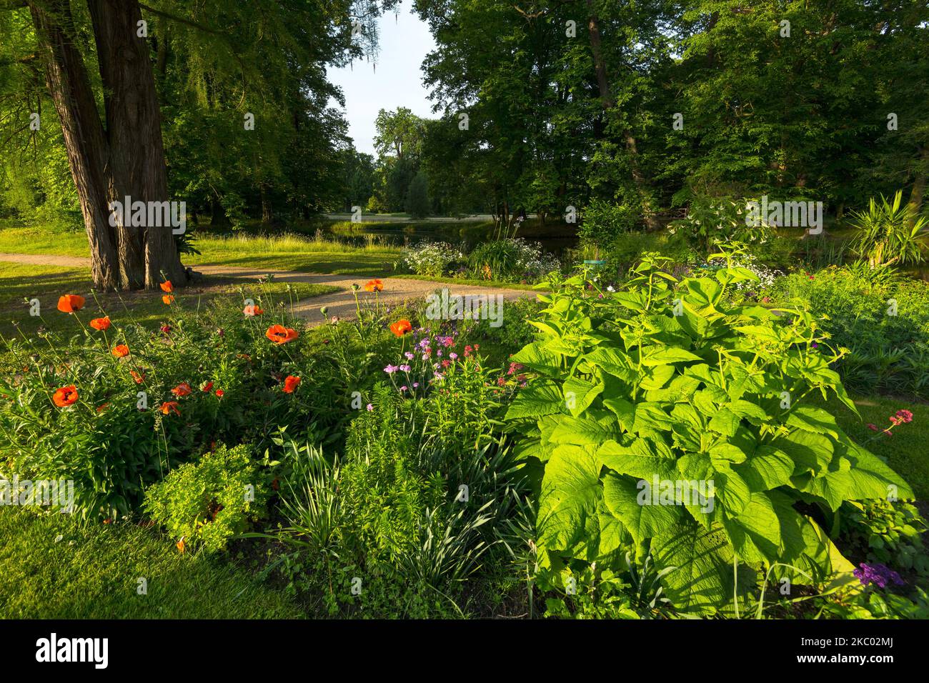 castle and park branitz, cottbus, germany Stock Photo - Alamy
