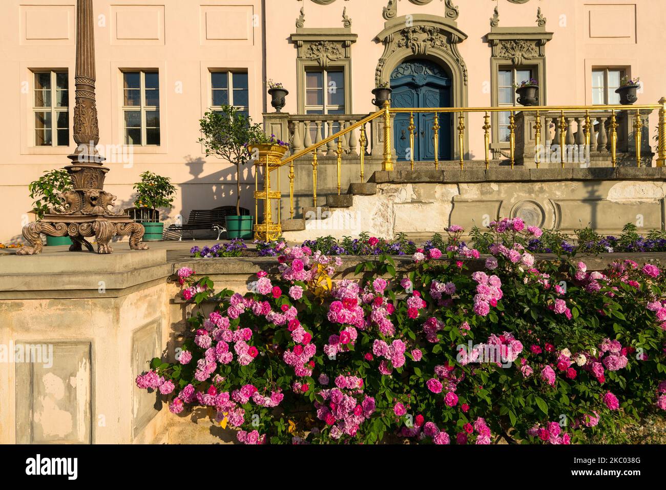 castle and park branitz, cottbus, germany Stock Photo - Alamy