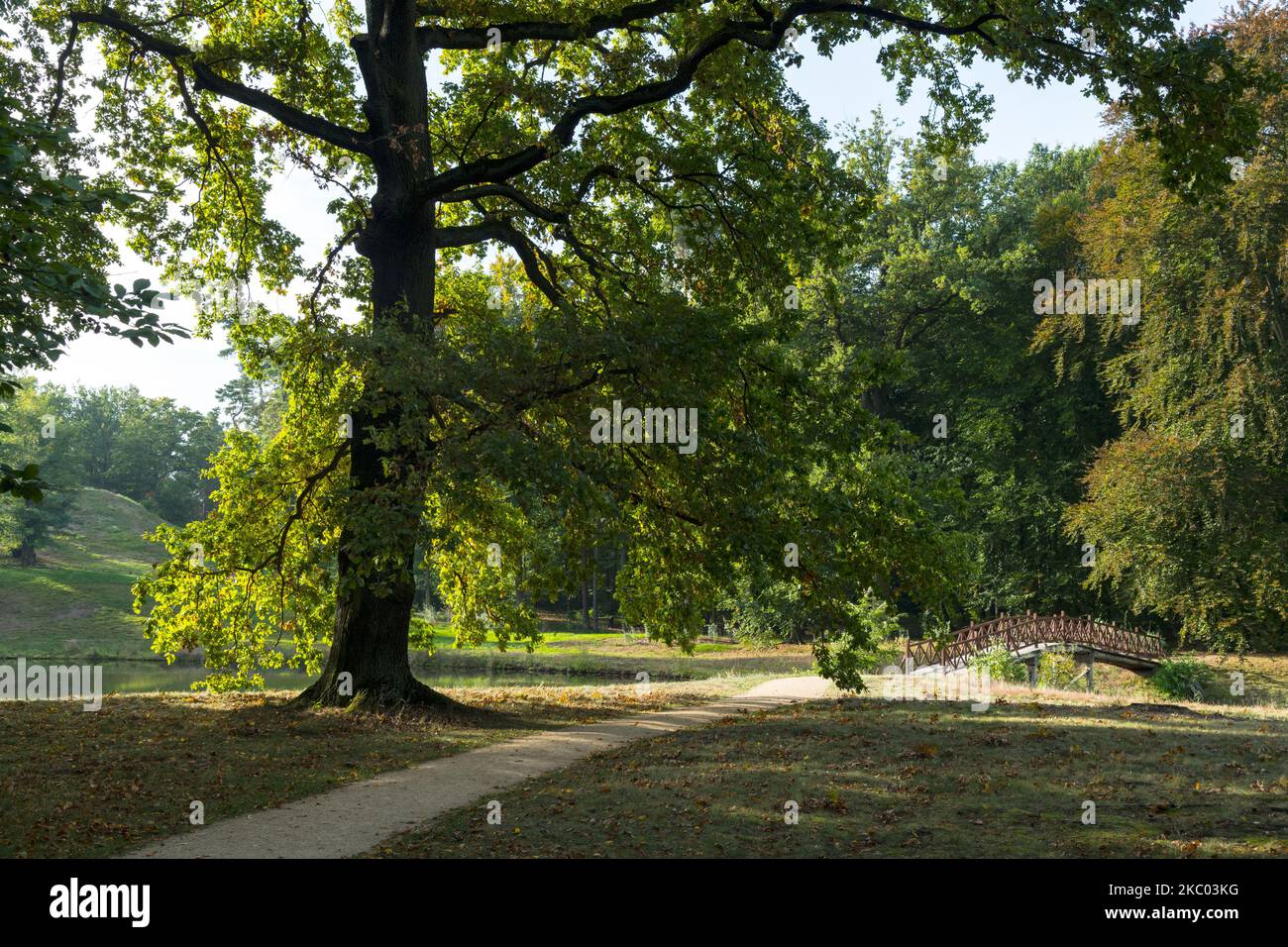 Furst puckler branitz parc hi-res stock photography and images - Alamy