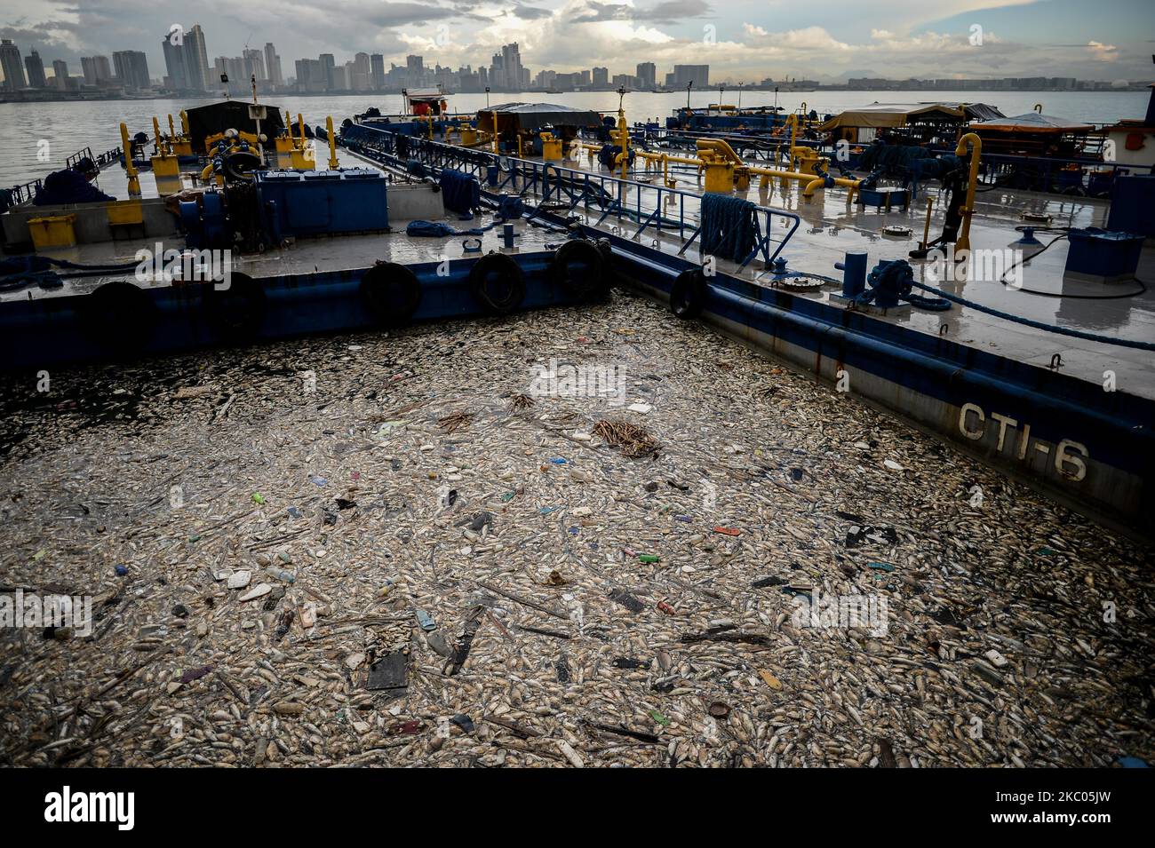Manila bay dead fish hi-res stock photography and images - Alamy