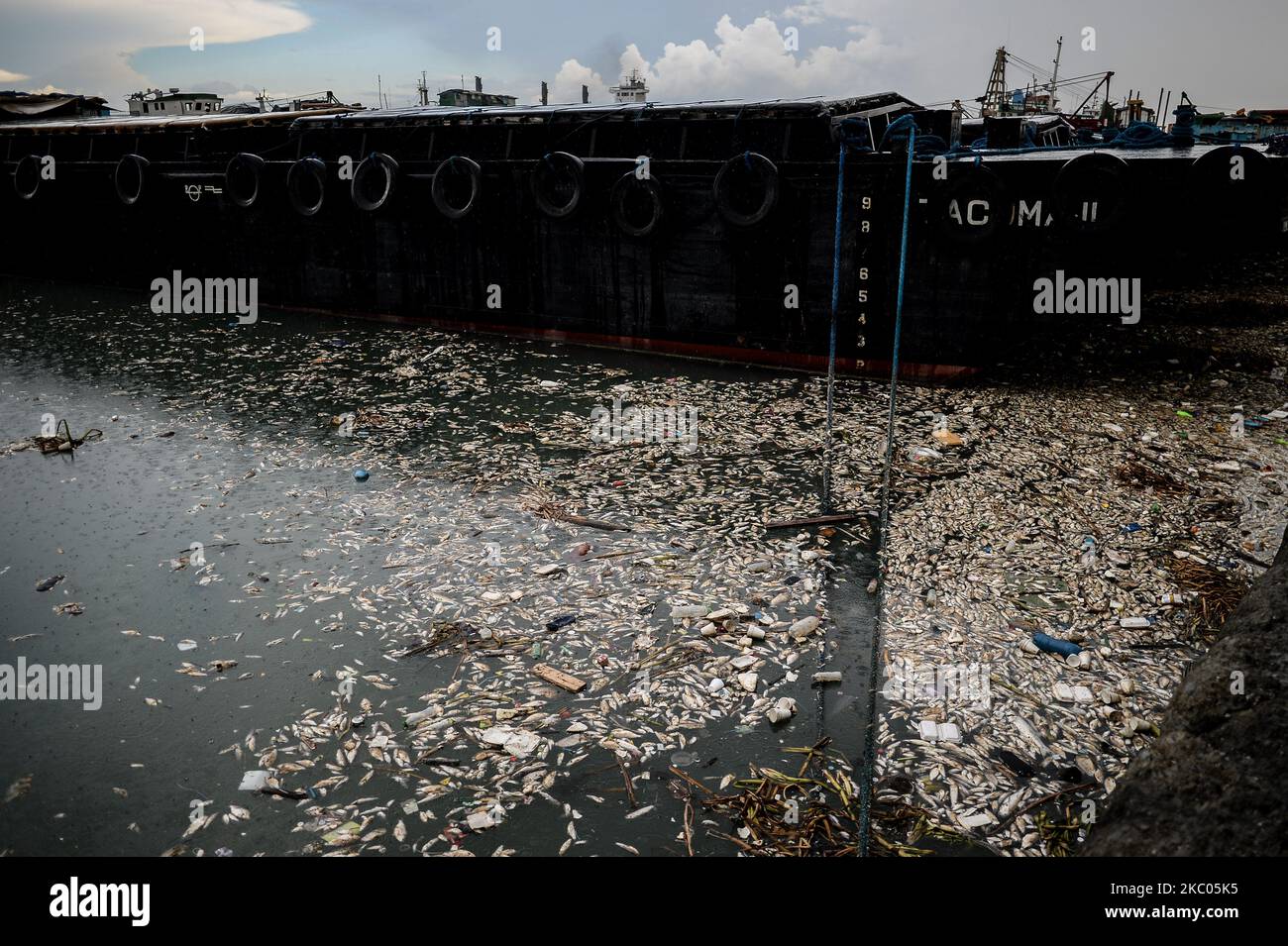 Manila bay dead fish hi-res stock photography and images - Alamy