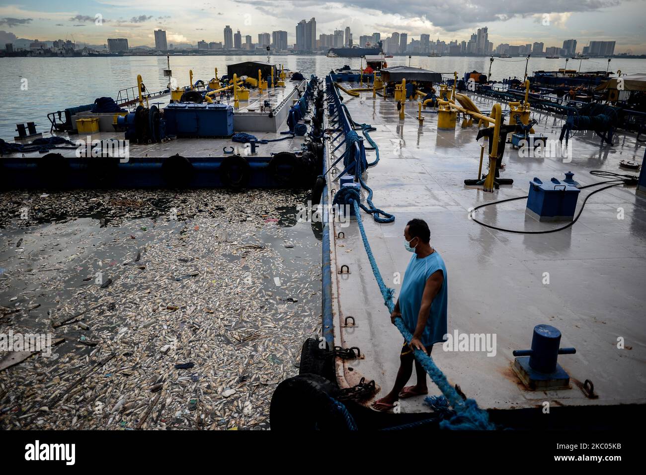 Manila bay dead fish hi-res stock photography and images - Alamy