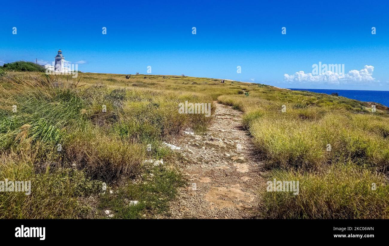 Puerto rico fields hi-res stock photography and images - Alamy