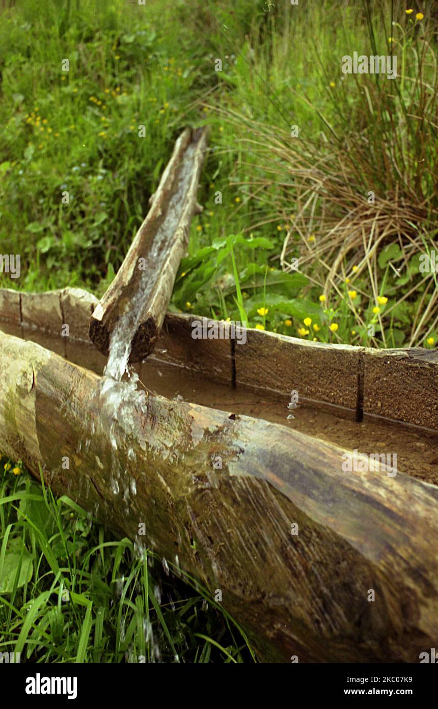 Hunedoara County, Romania, approx. 2001. Spring water flowing in a ...