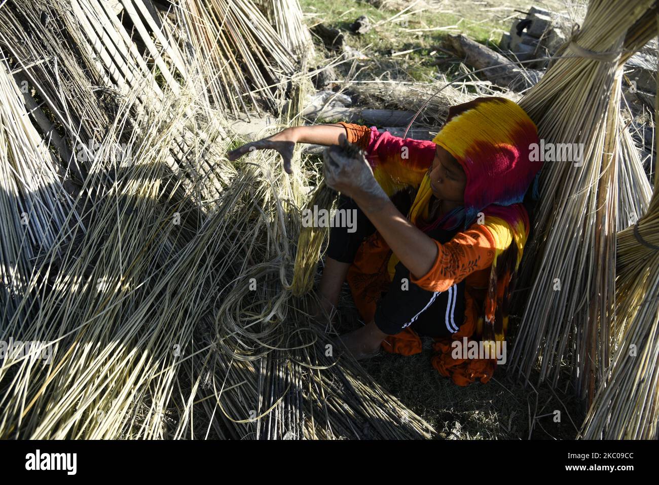 Barpeta district hi-res stock photography and images - Alamy