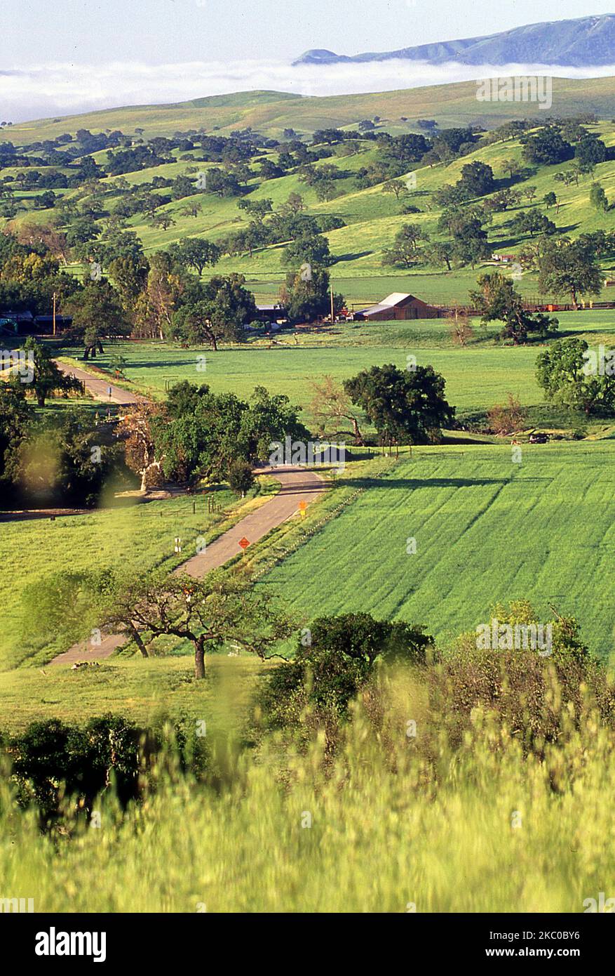 Landscape in rural California, USA, approx. 1988 Stock Photo - Alamy