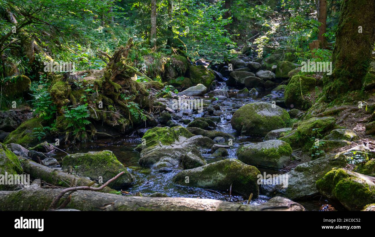 A scenic view of a river flowing through rocks covered with greenery in ...
