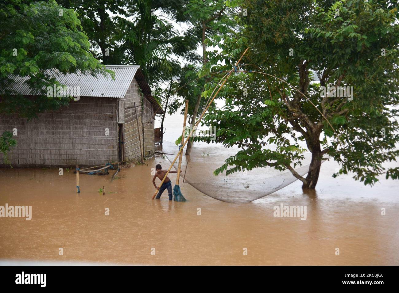 Kampur hi-res stock photography and images - Alamy