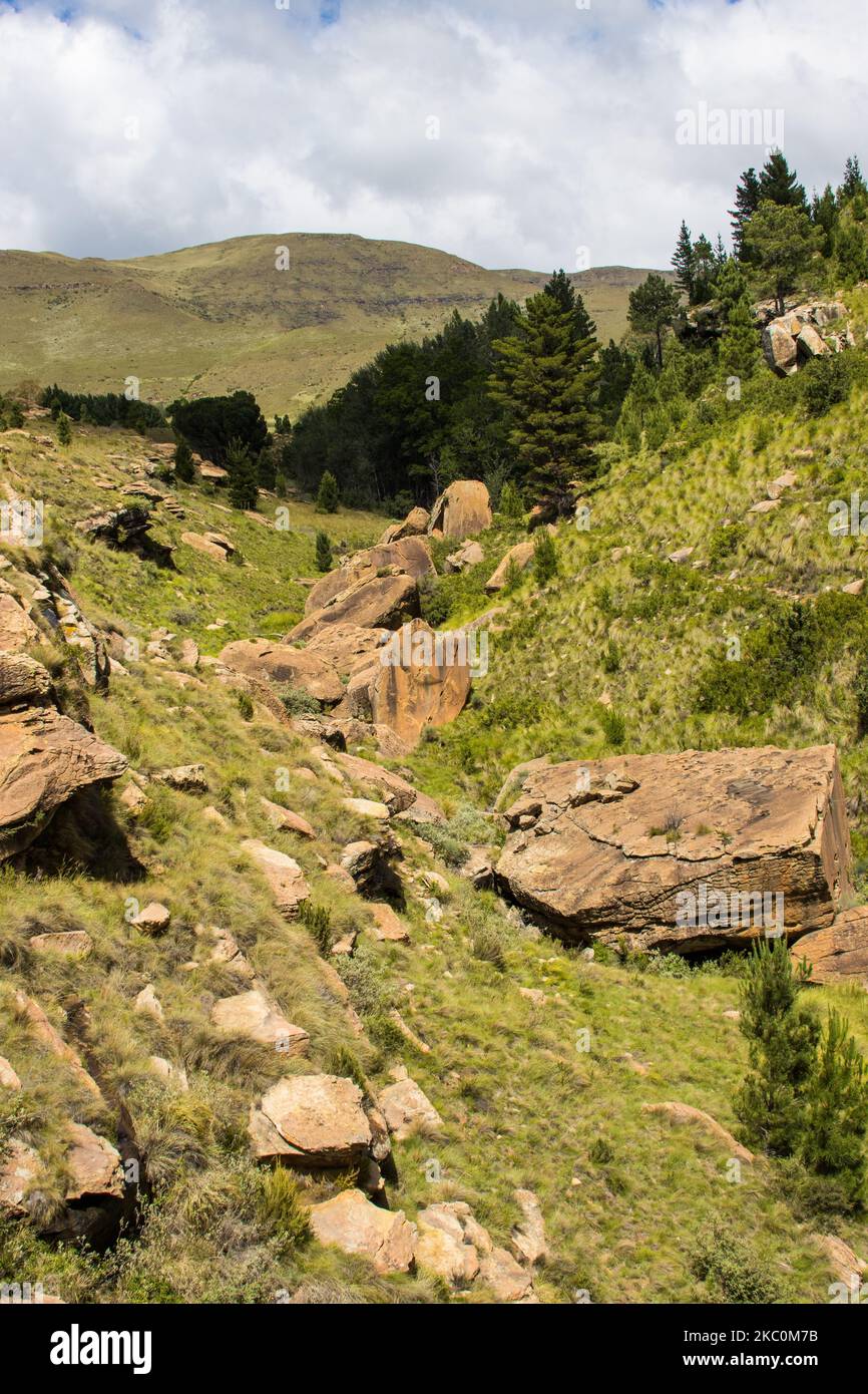 Scenic hilly terrain with rocky ground and rare green trees Stock Photo ...