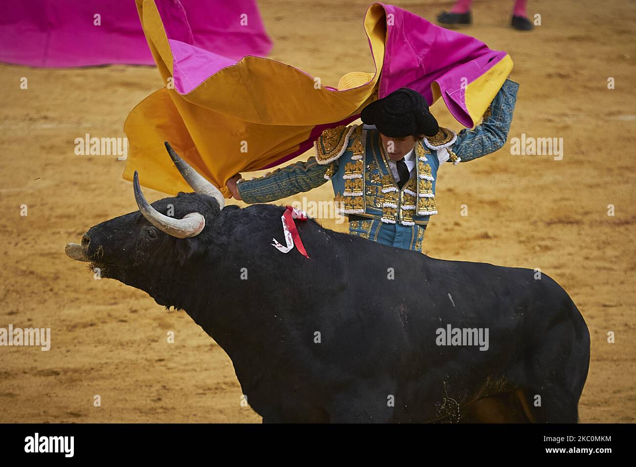 Spanish bullfighter Sebastian Castella performs a pass with 'capote' on ...
