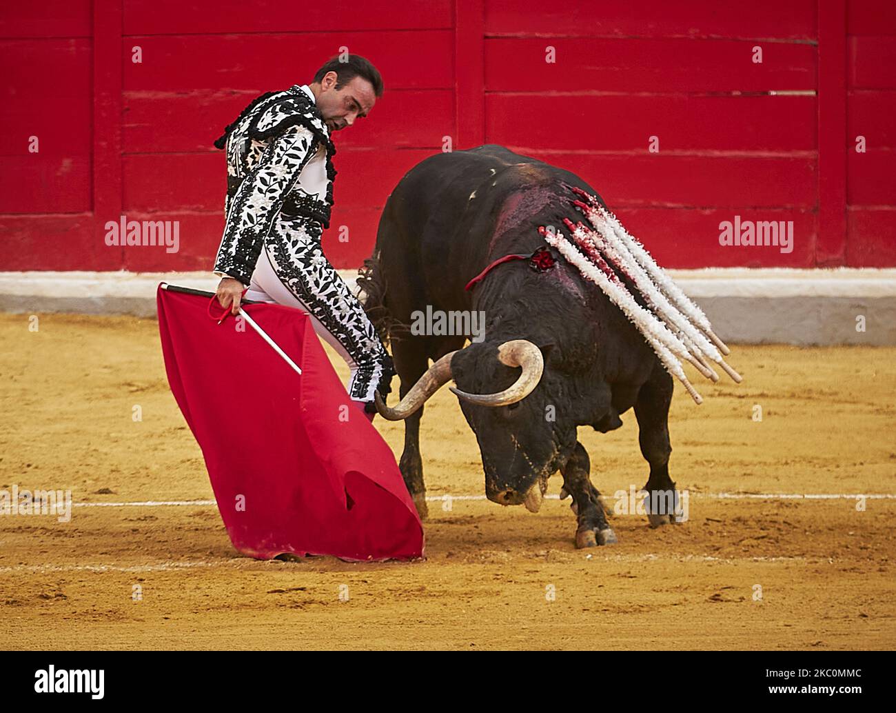 Spanish bullfighter Enrique Ponce performs a pass with 'capote' on a ...