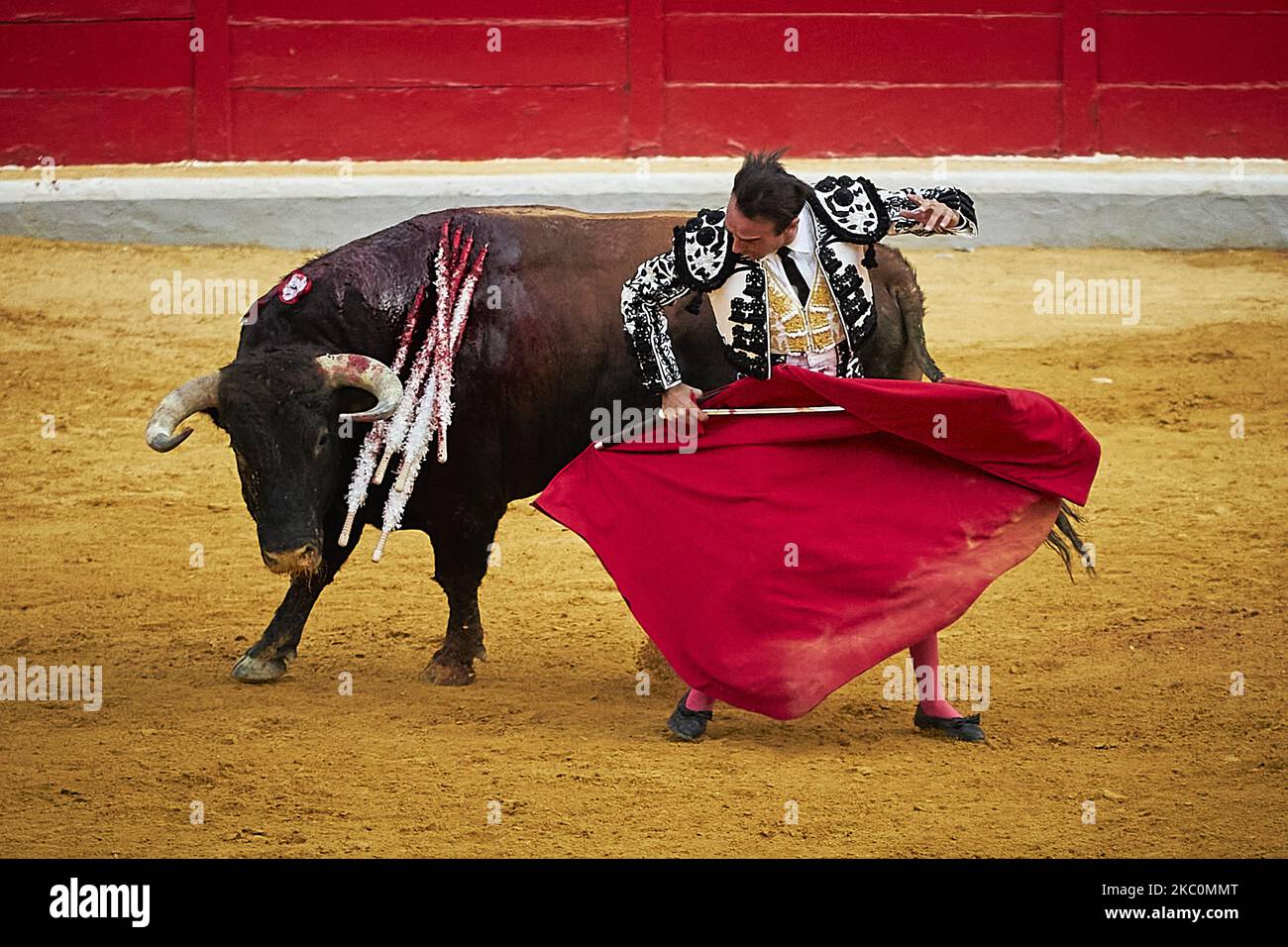 Spanish bullfighter Enrique Ponce performs a pass with 'capote' on a ...