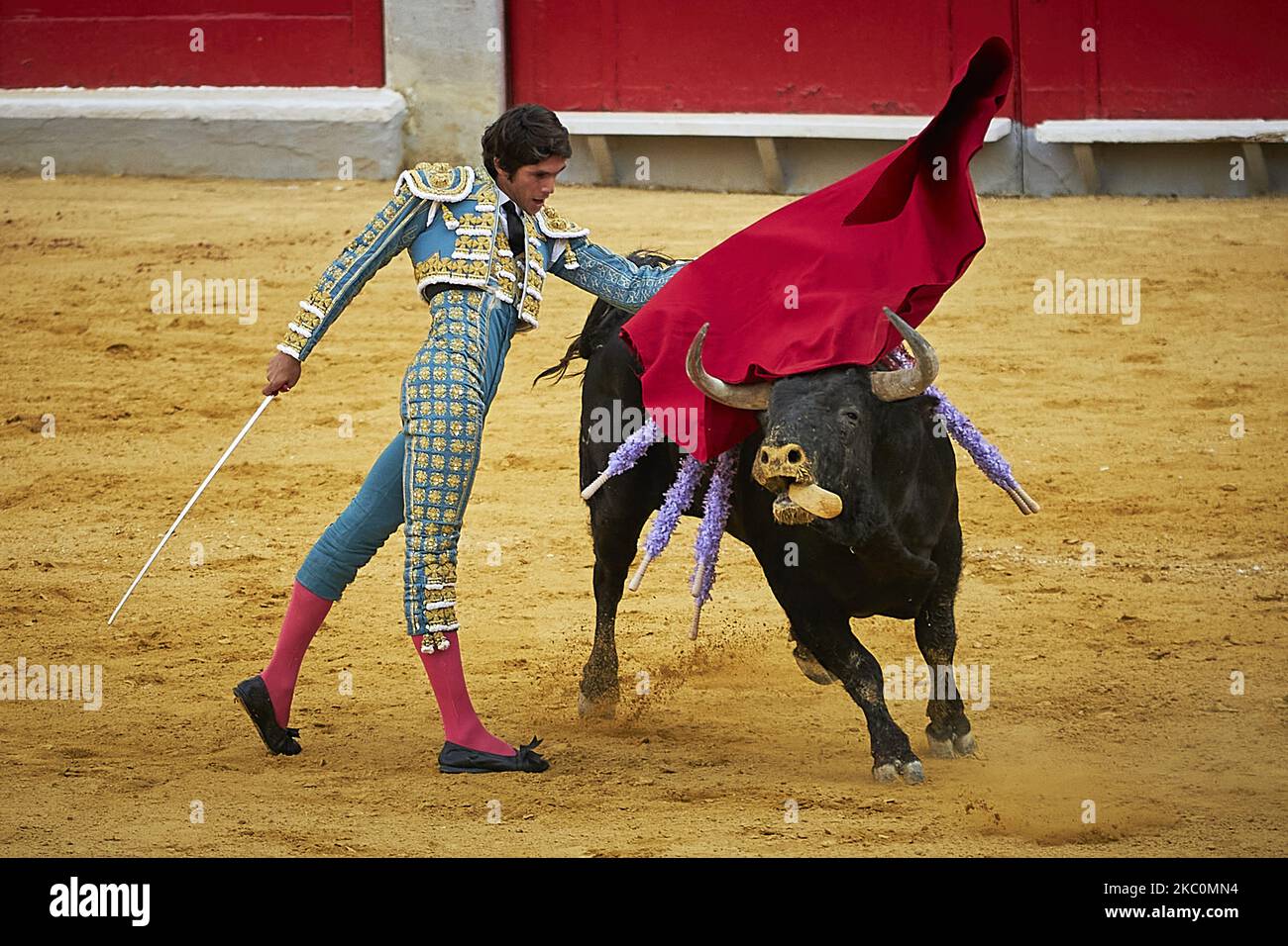 Spanish bullfighter Sebastian Castella performs a pass with 'capote' on ...