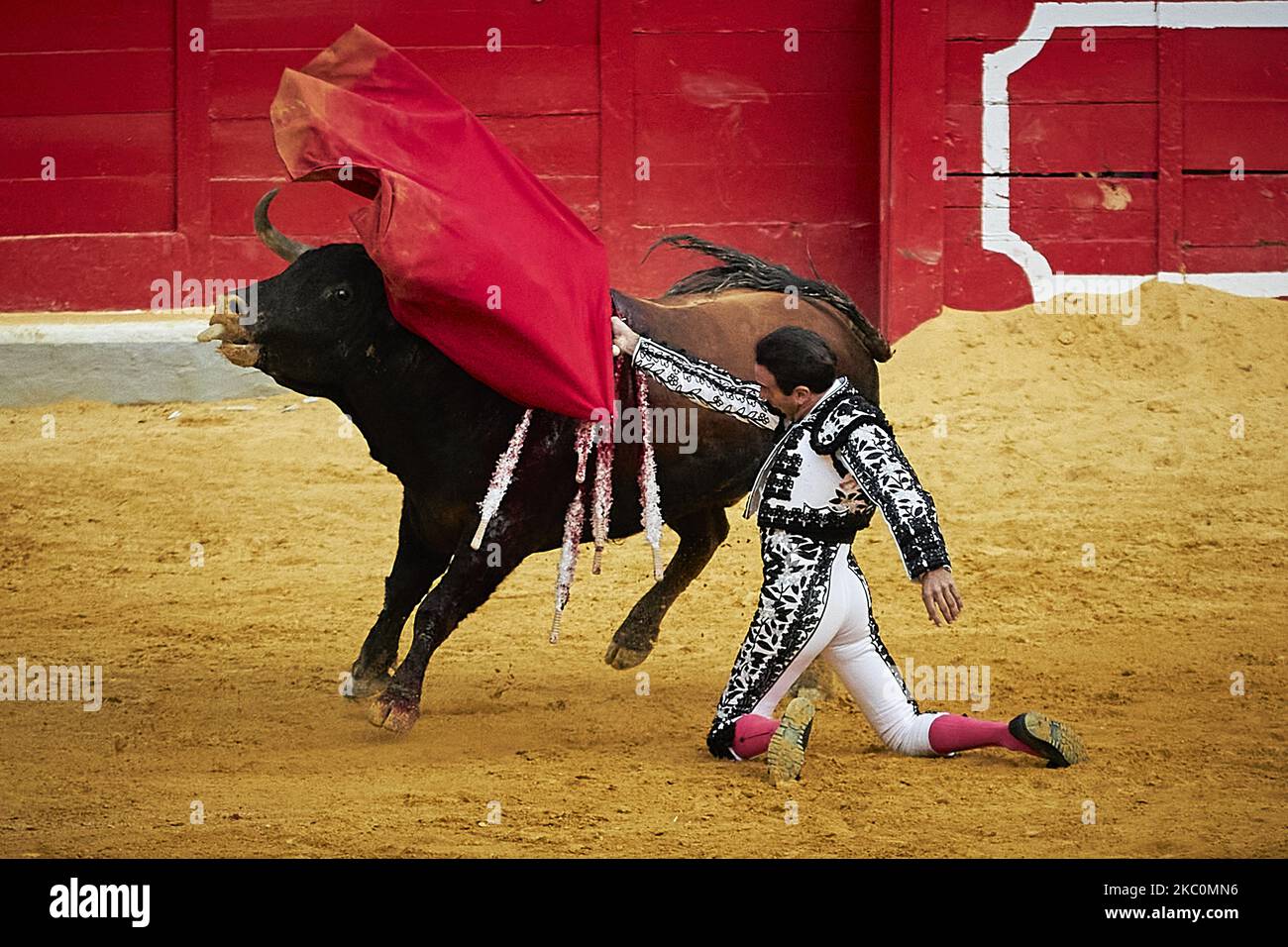 Spanish bullfighter Enrique Ponce performs a pass with 'capote' on a ...