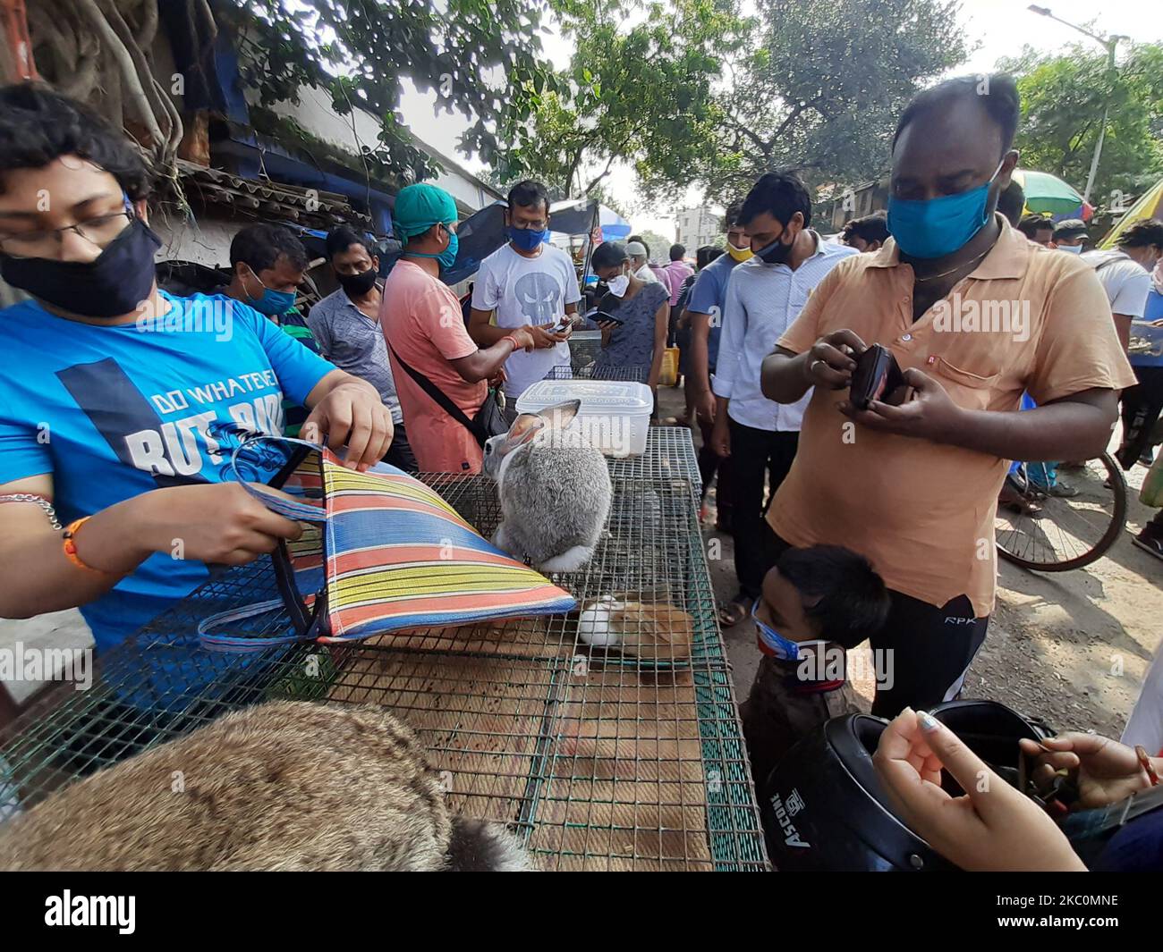 Pandemics worst hi-res stock photography and images - Alamy