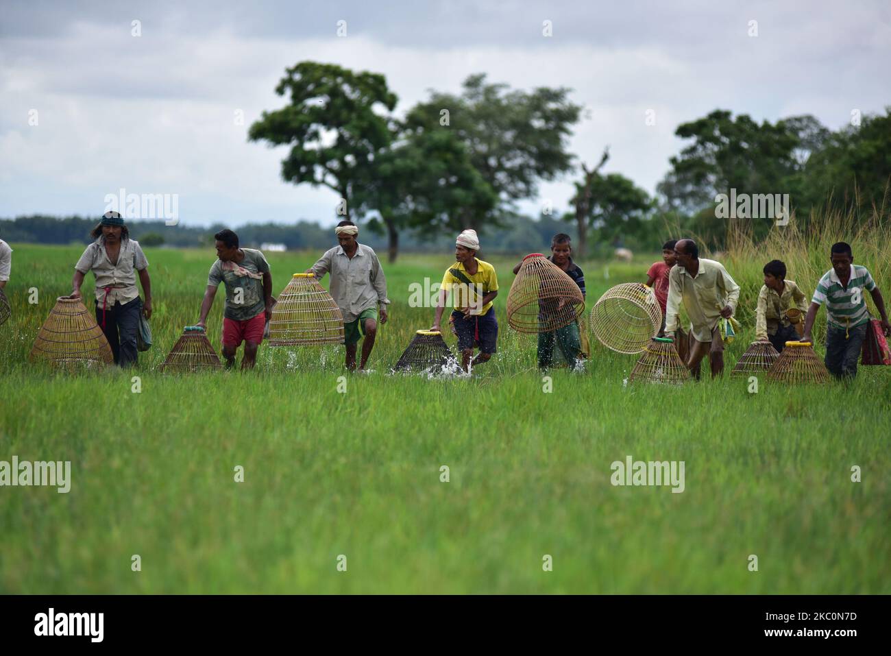 Villagers catch fish as they take part in a community fishing at a ...