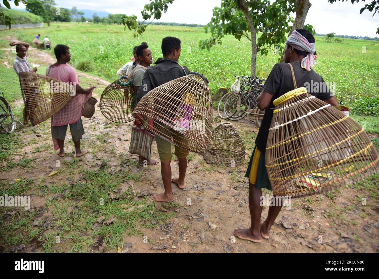 Kampur hi-res stock photography and images - Alamy