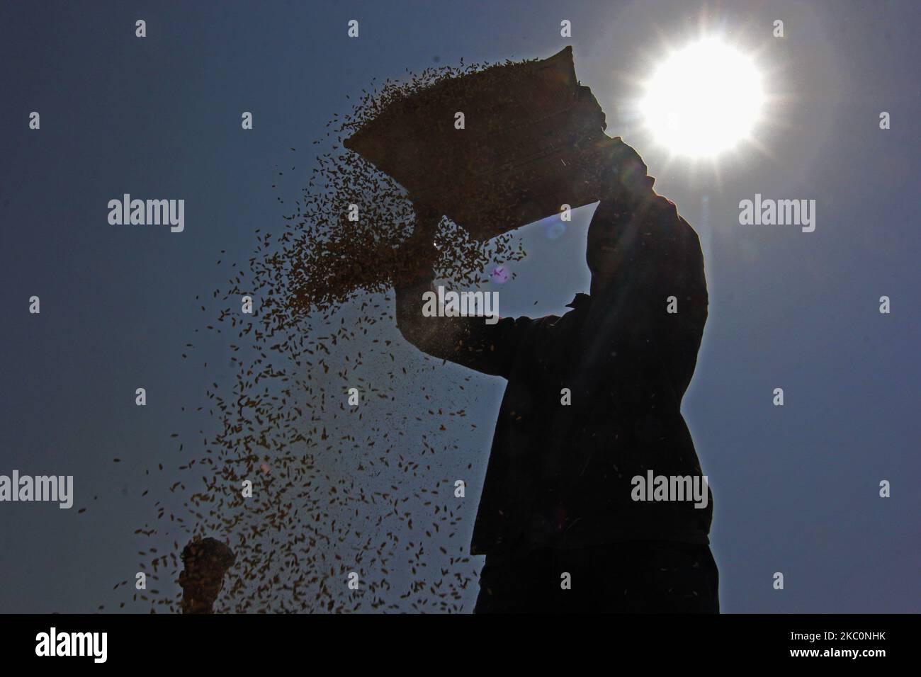 Traditional method of winnowing hi-res stock photography and images - Alamy