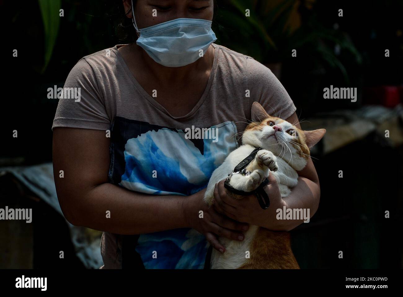 A woman carries her cat as she queues to avail of free rabies vaccine ...