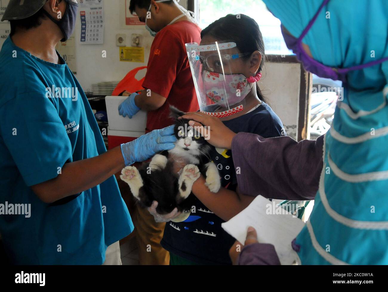 Dangers of rabies hi-res stock photography and images - Alamy