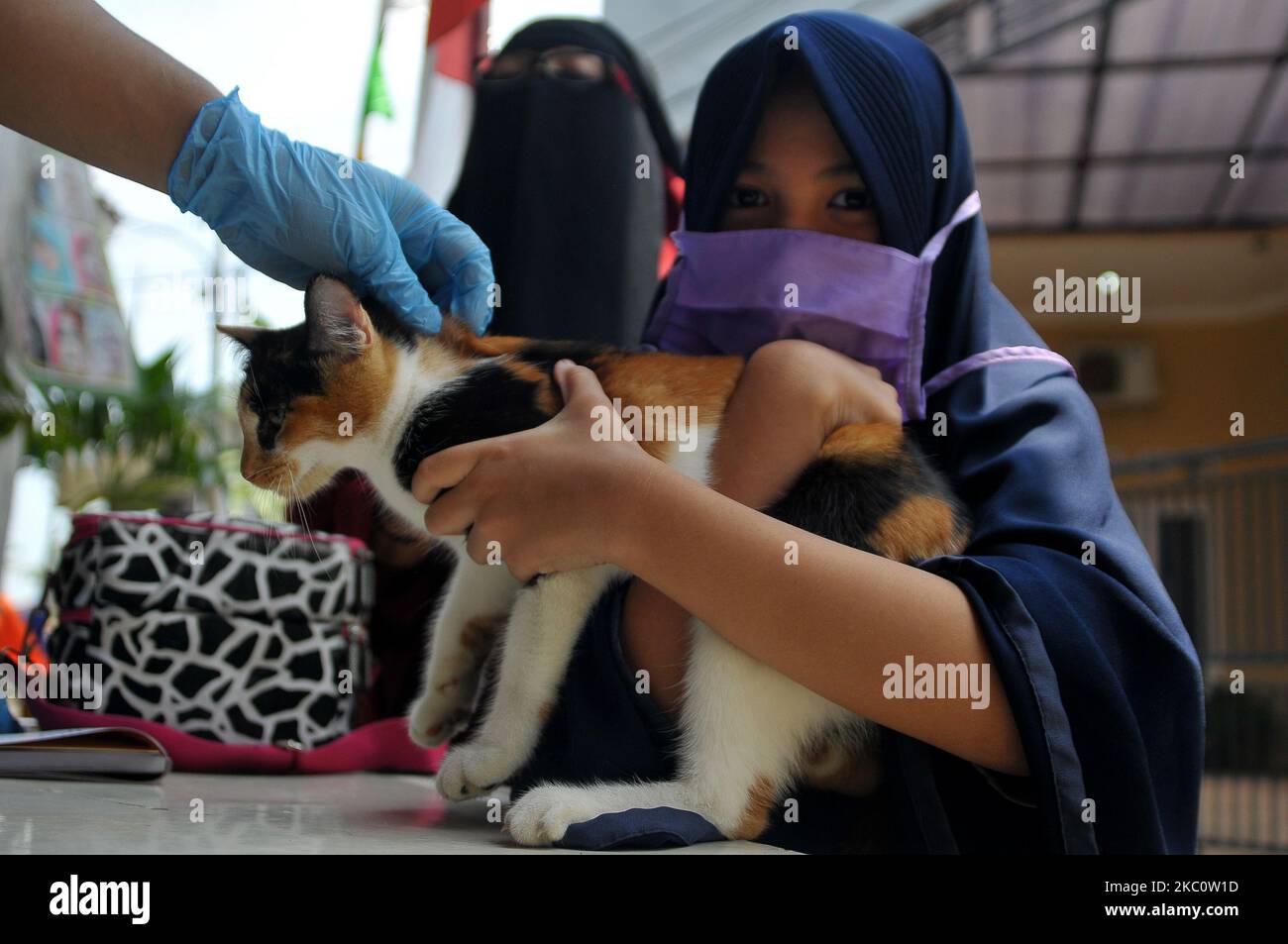 Dangers of rabies hi-res stock photography and images - Alamy