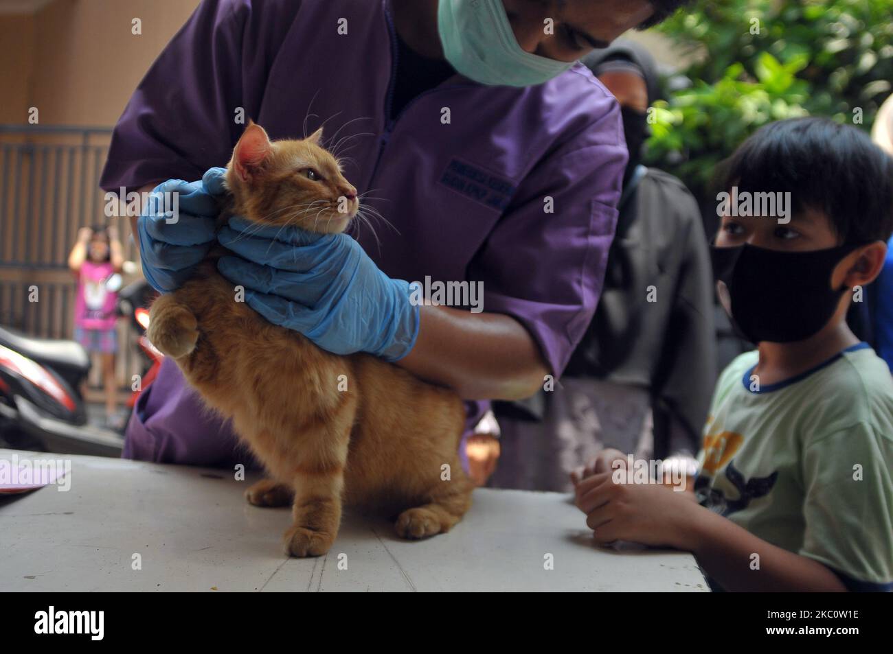 Dangers of rabies hi-res stock photography and images - Alamy
