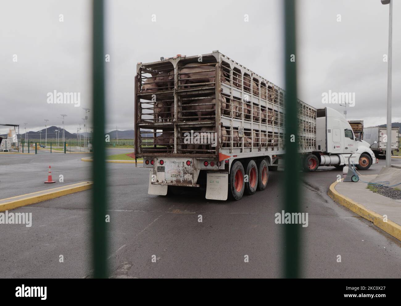 Granjas carroll de mexico hi-res stock photography and images - Alamy