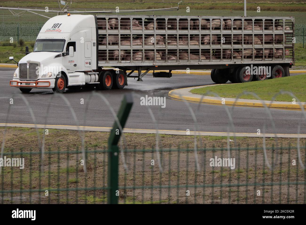 Granjas carroll de mexico hi-res stock photography and images - Alamy