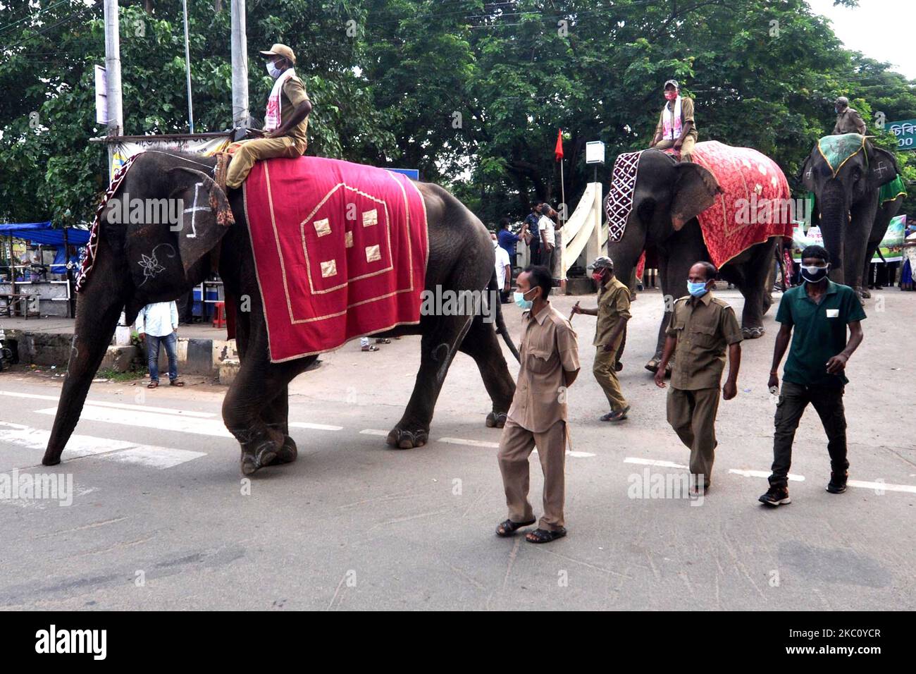 An elephants' rally being taken out as part of the Wildlife Week 2020 ...