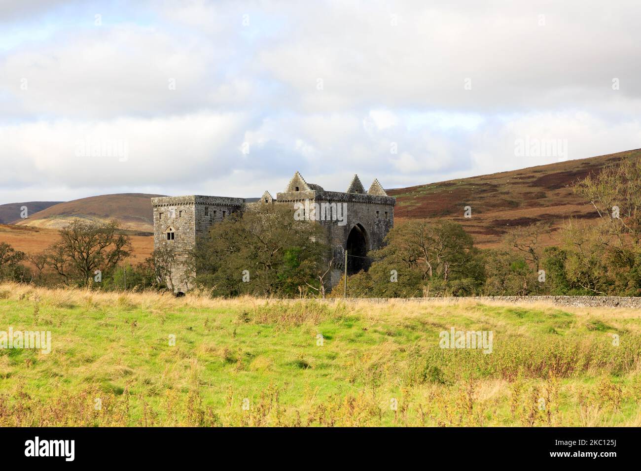 View over farmland toward the ruins of Hermitage castle Scotland Stock ...