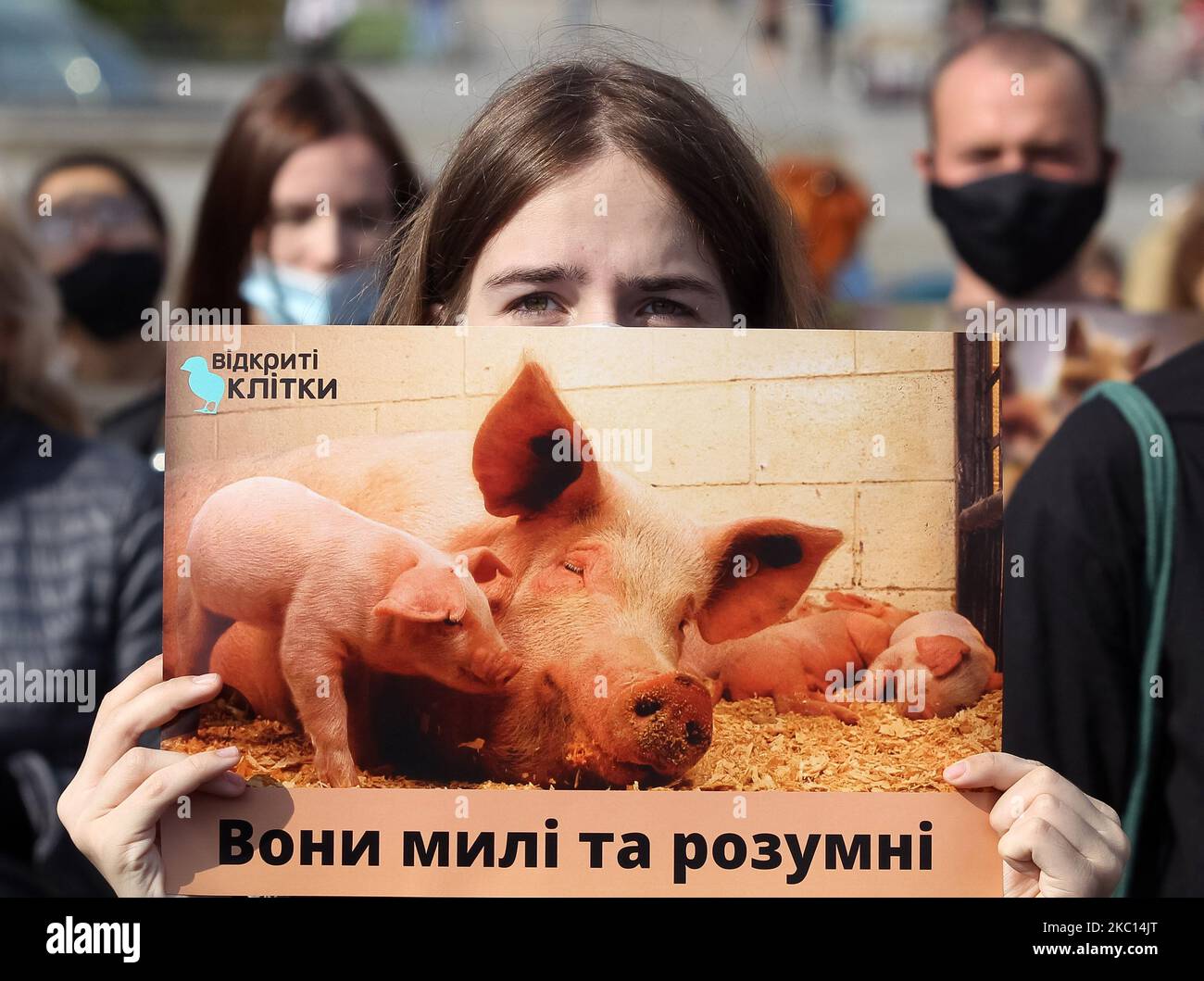 An animal rights supporter holds a placard reading 'They are cute and ...