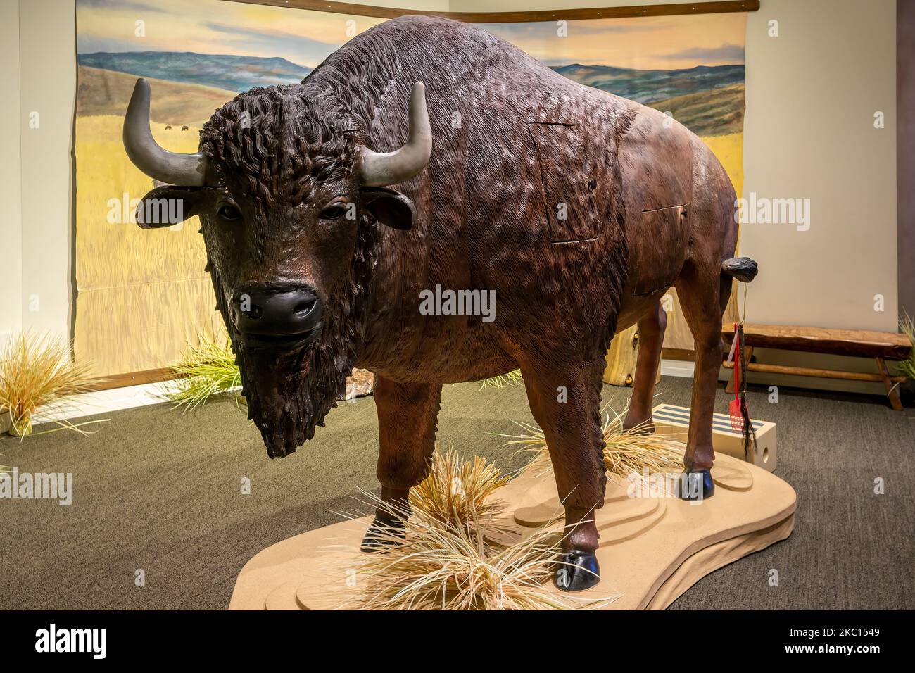 Bison exhibit, Colorado Stories Exhibit, History Colorado Center ...