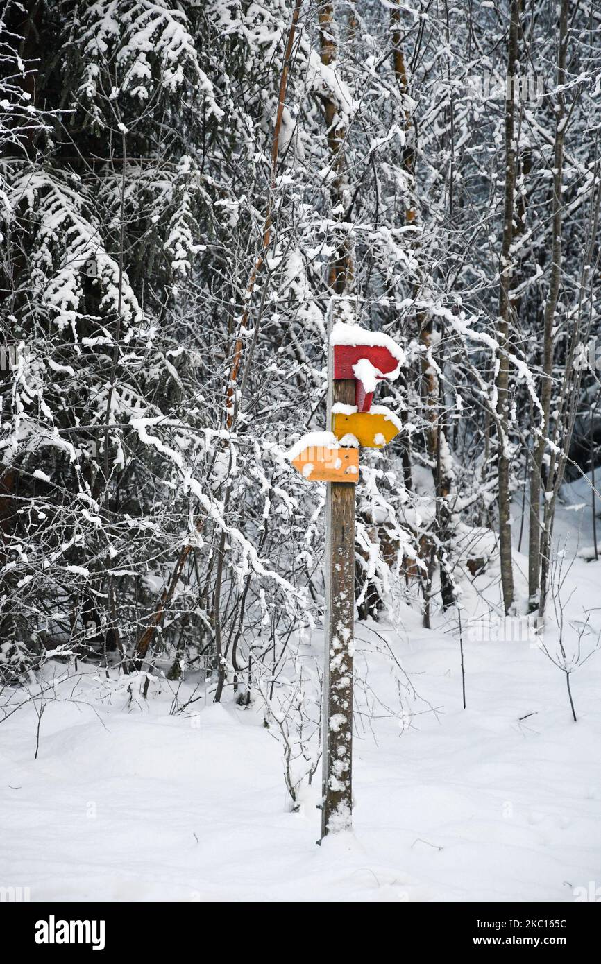 A path sign or sign of direction in the forest during snow and winter ...