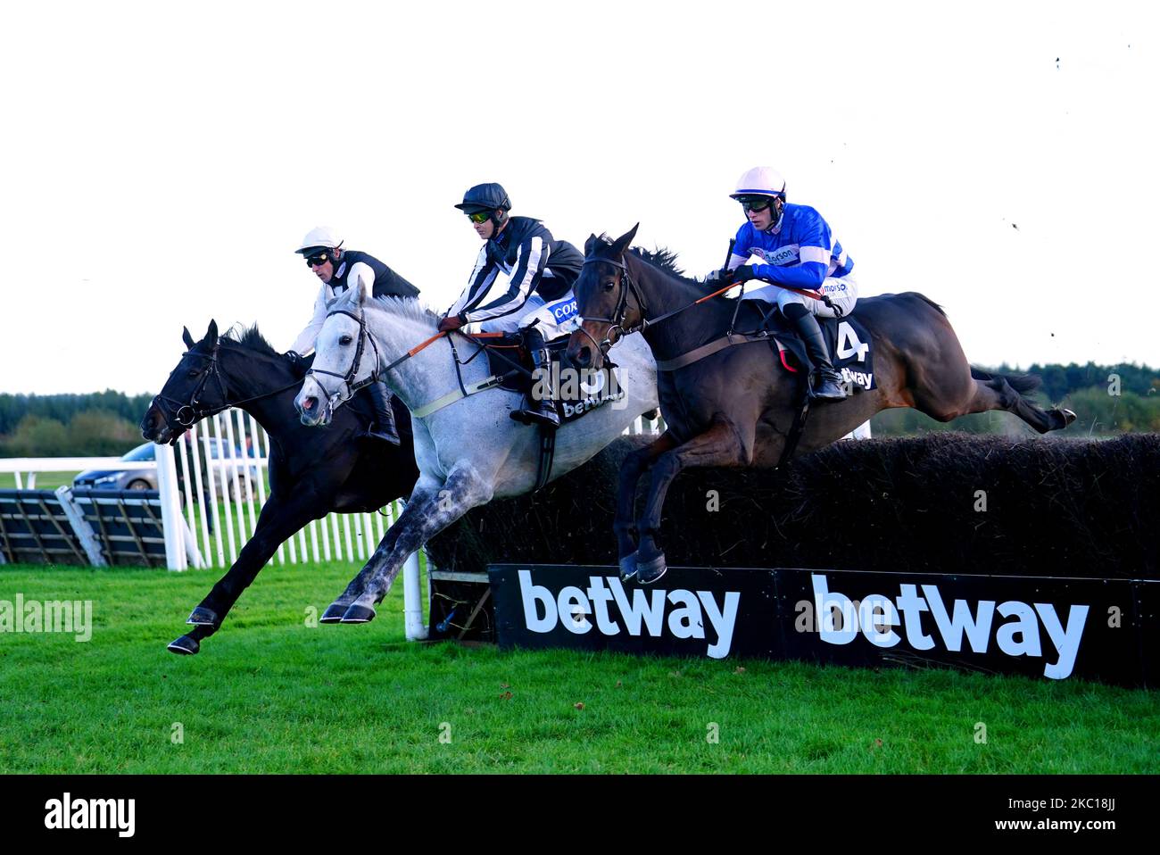 War lord horse hi-res stock photography and images - Alamy