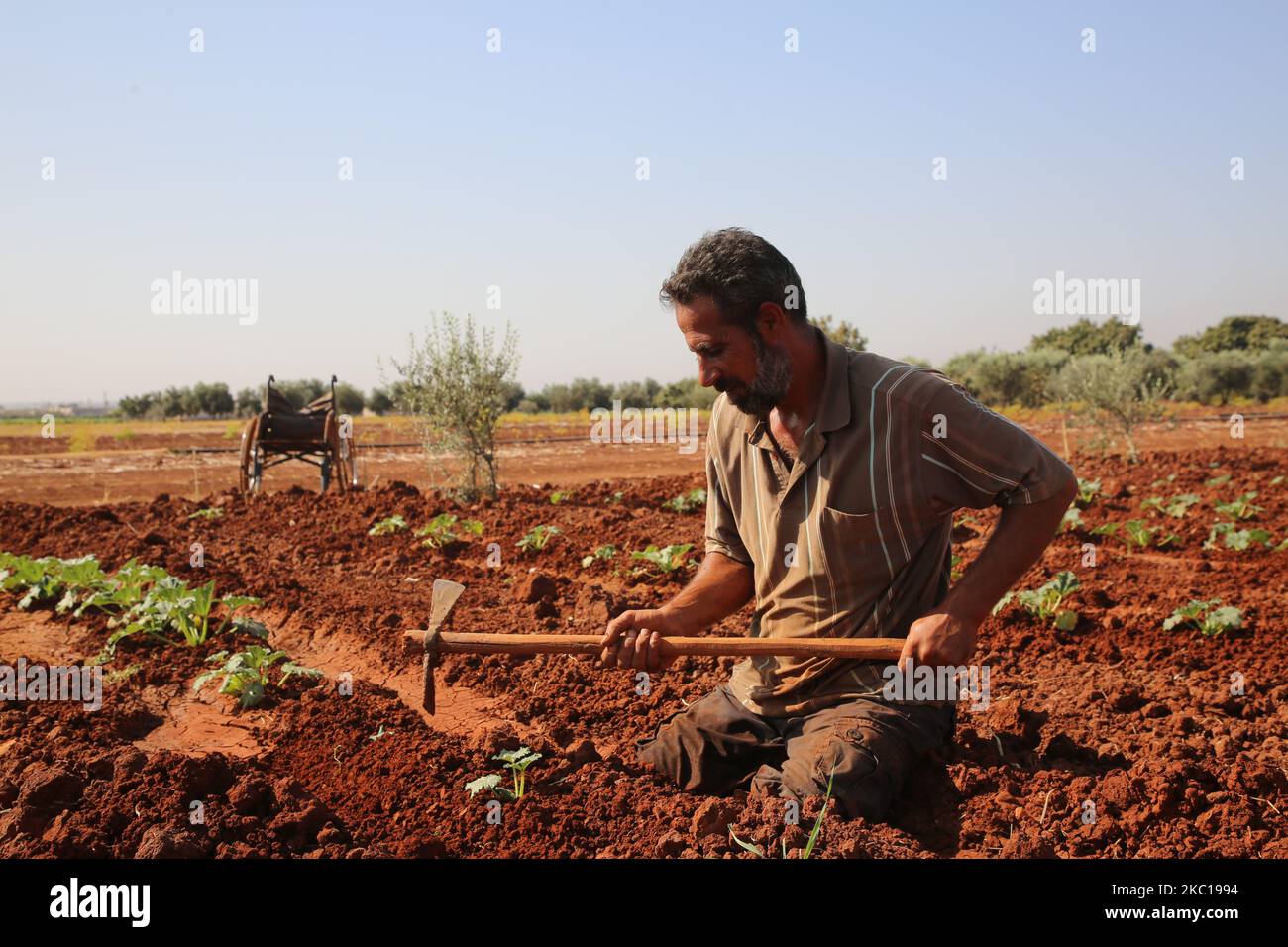 Mahmoud Qaddour, 40, is a Syrian farmer who lost his feet in a previous ...