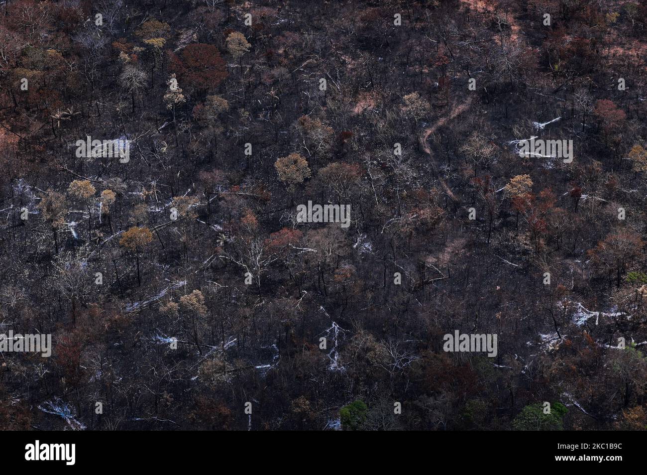 Guajajara indigenous village of urucu jurua hi-res stock photography ...